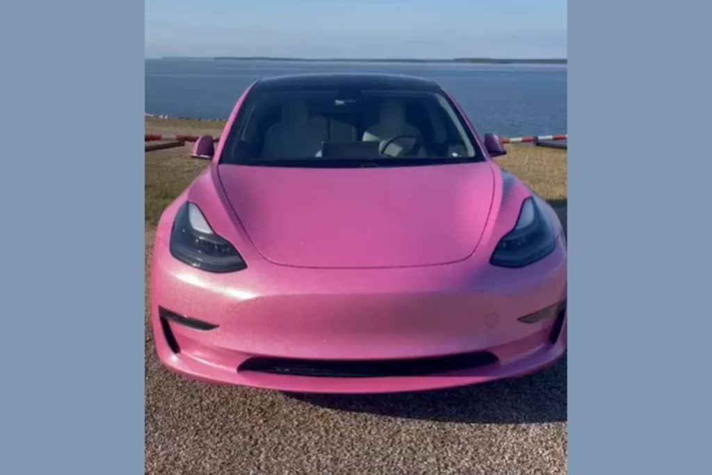 Cette jeune femme dépense une fortune pour que sa Tesla soit de la ...